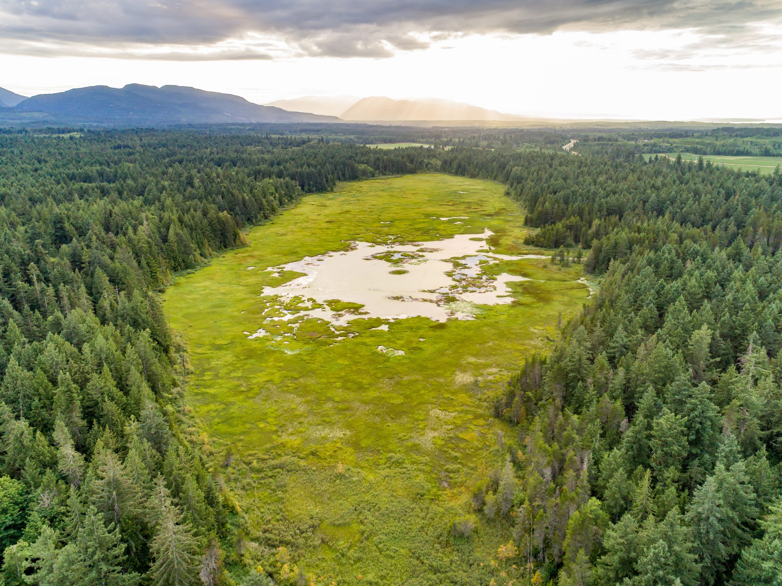 #Home - Hamilton Wetlands and Forest Preservation Society