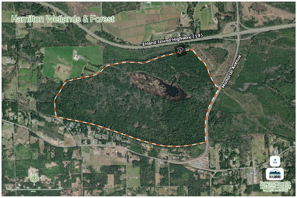 #Home - Hamilton Wetlands and Forest Preservation Society